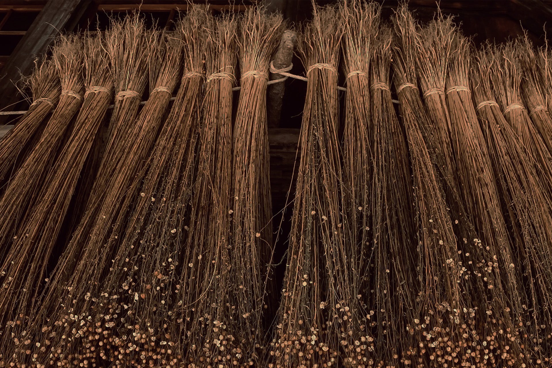 Eco-Conscious & Sustainable Women's Clothing | Gunda Hafner Ltd